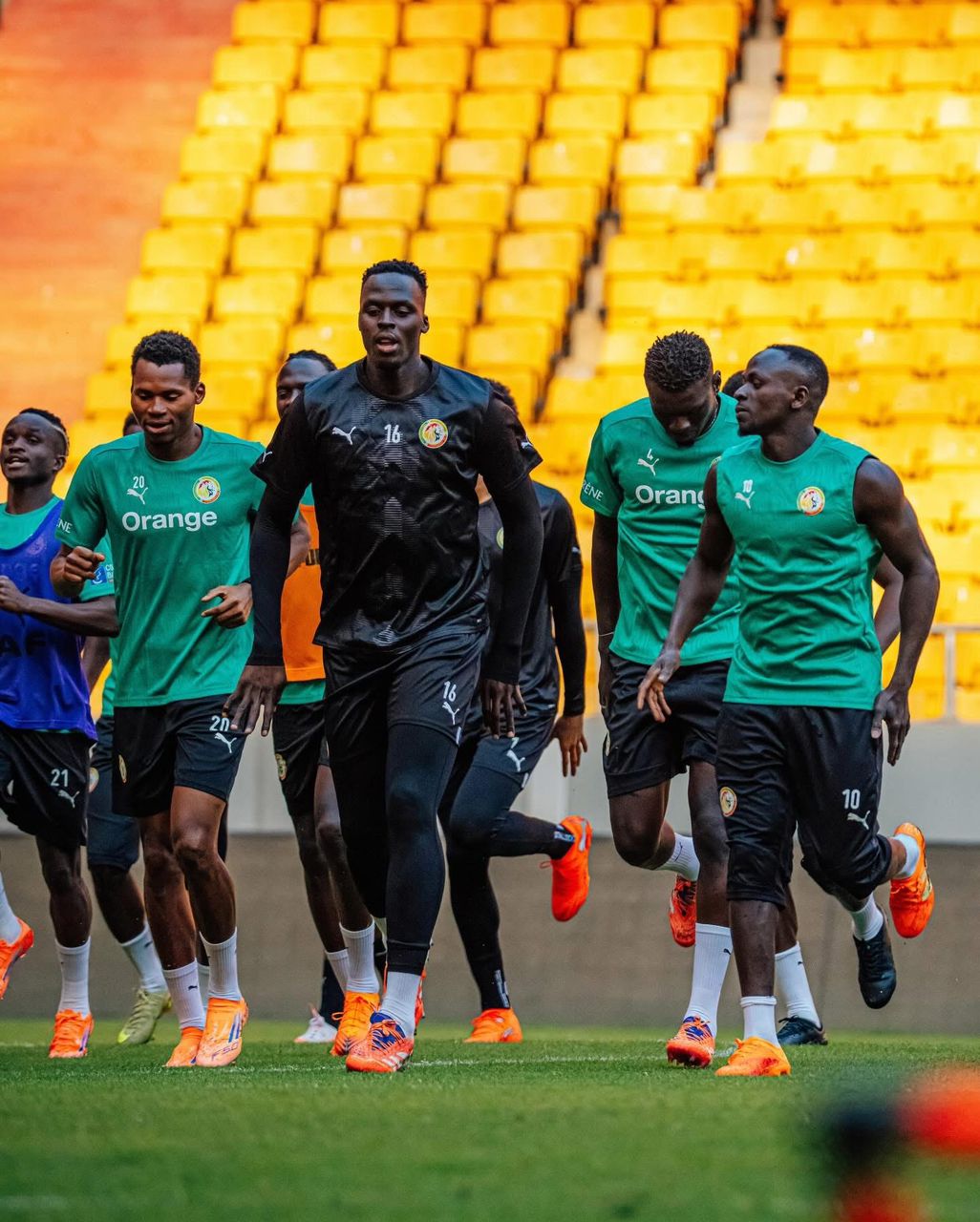 CAN 2025 : les Lions entrent dans la dernière phase de préparation ...