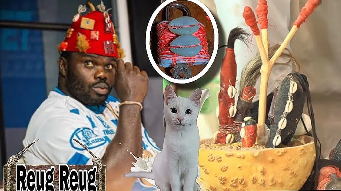 Lutte sénégalaise : Reug Reug sanctionné après l’affaire des chatons ...